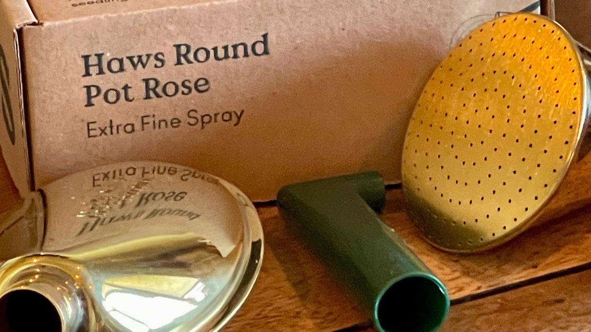 Haws Watering Can Replacement Roses – The Celtic Farm