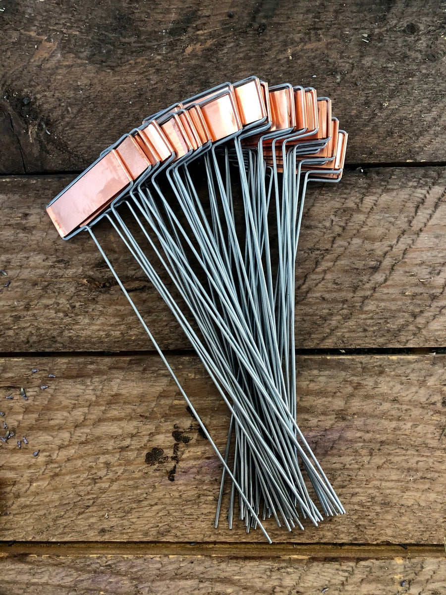 Copper Plant Tags - Garden Markers Set – The Celtic Farm